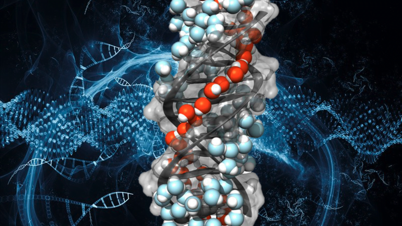 Chiral Water Super-Structure Forms Around DNA - The International Space ...